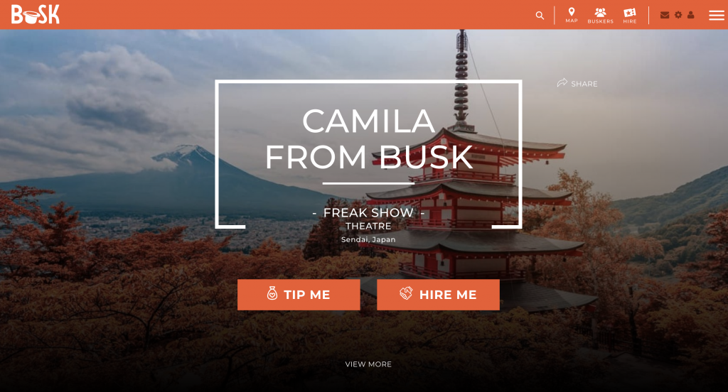 Your Busk.co Dashboard Explained - The Busking Project